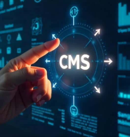 CMS Solutions - Shayan Solutions